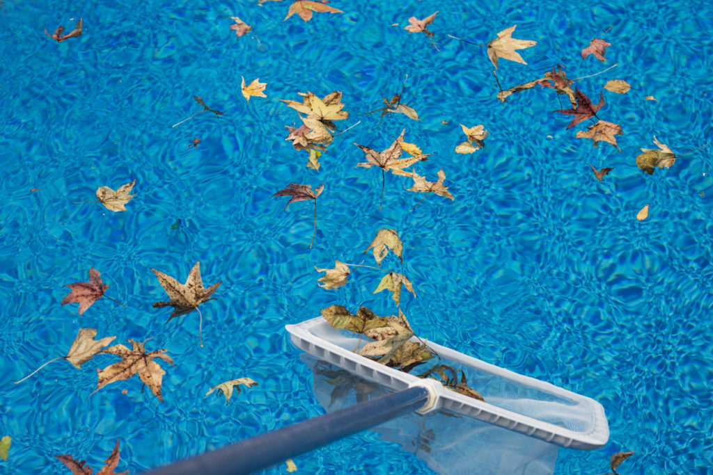 Pool Cleaning Tips for Spring | Pool Troopers